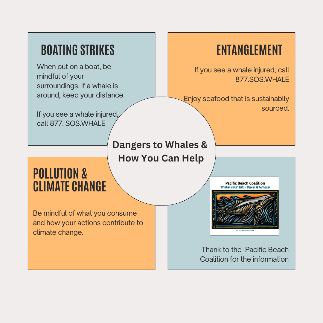 Shake Your Tail, Save a Whale – Caroline Evans